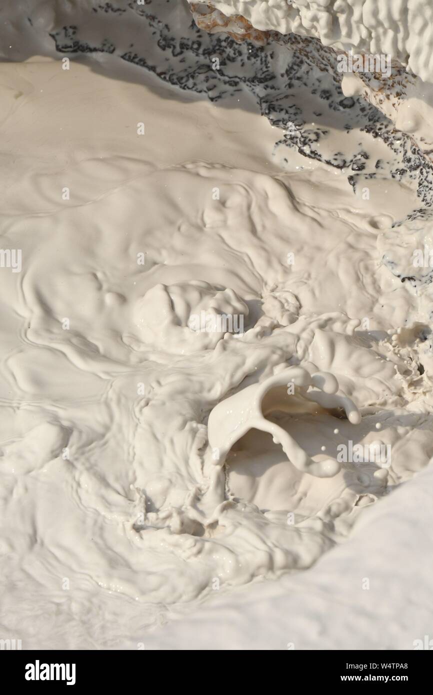 puddle of boiling and milky mud in Yellowstone National Park in Wyoming ...