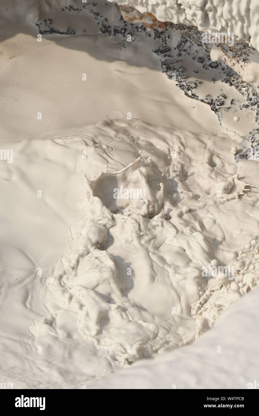 puddle of boiling and milky mud in Yellowstone National Park in Wyoming ...