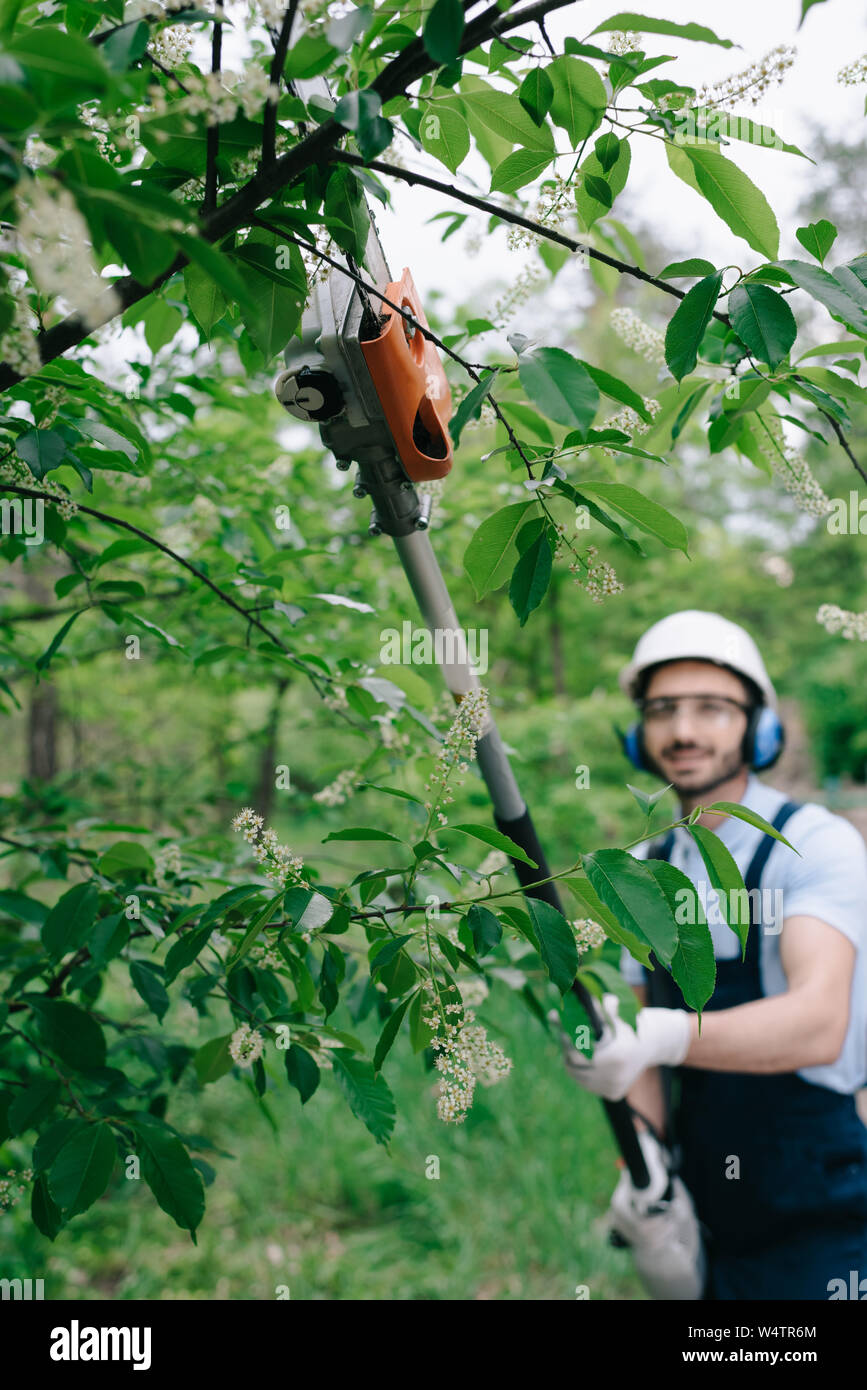 Selective cutting trees hi-res stock photography and images - Alamy