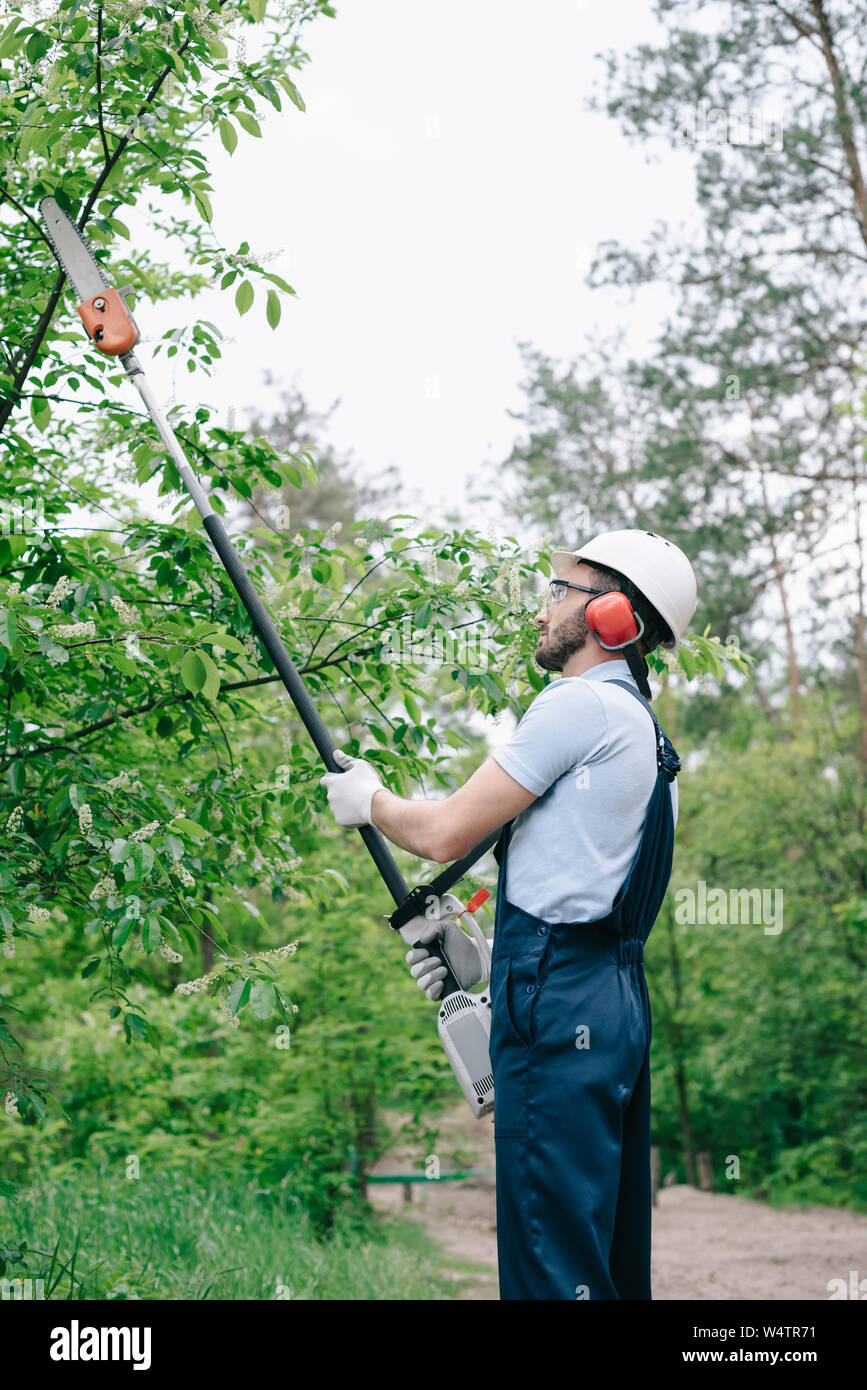 gardener in overalls and helmet trimming trees with telescopic pole saw ...