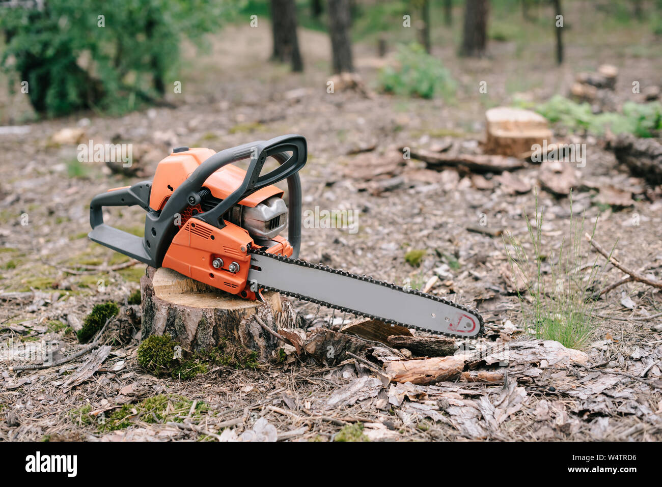 Chainsaw on stump in forest hi-res stock photography and images - Alamy