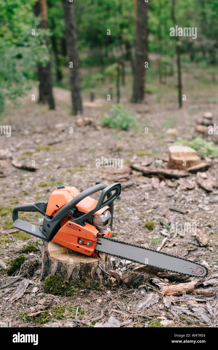 Chainsaw on stump in forest hi-res stock photography and images - Alamy