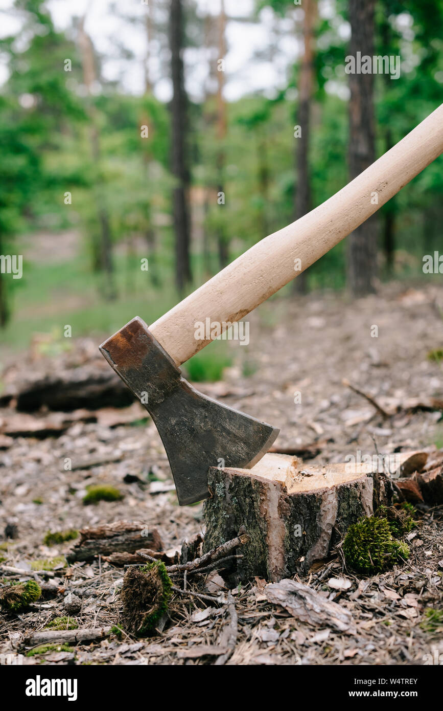 heavy, sharp axe with wooden handle on wood stump in forest Stock Photo ...