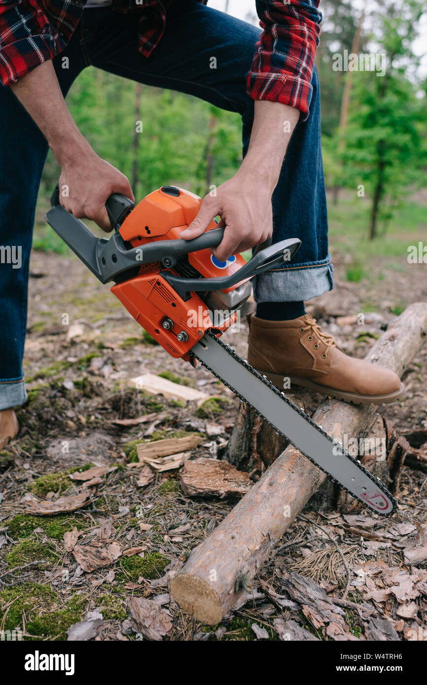 Lumberjack cutting tree hi-res stock photography and images - Alamy