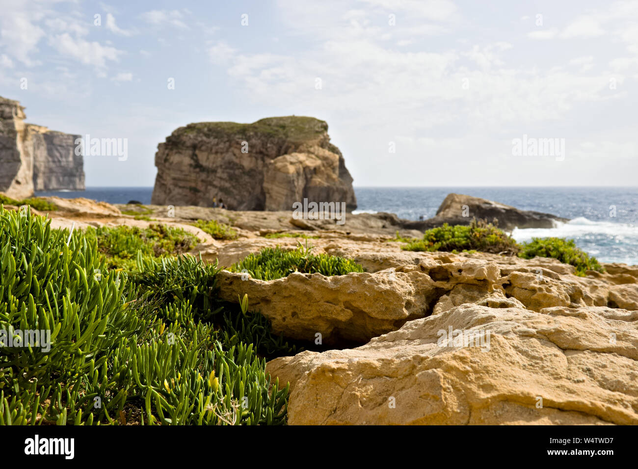 Scenic view of beautiful green vegetation and cliffs, fungus rock and ...