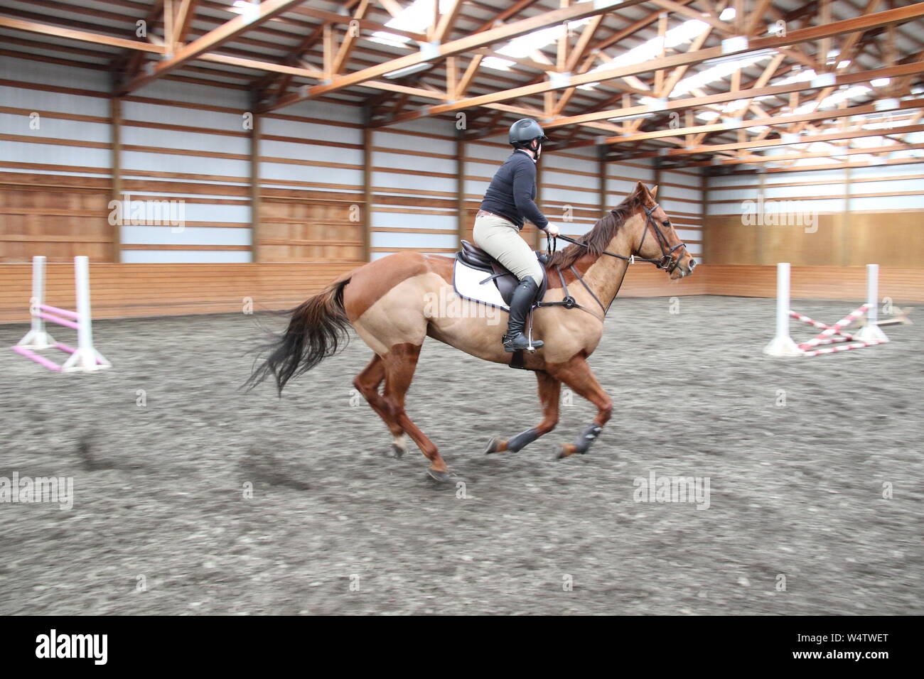 English Riding, indoor arena Stock Photo - Alamy