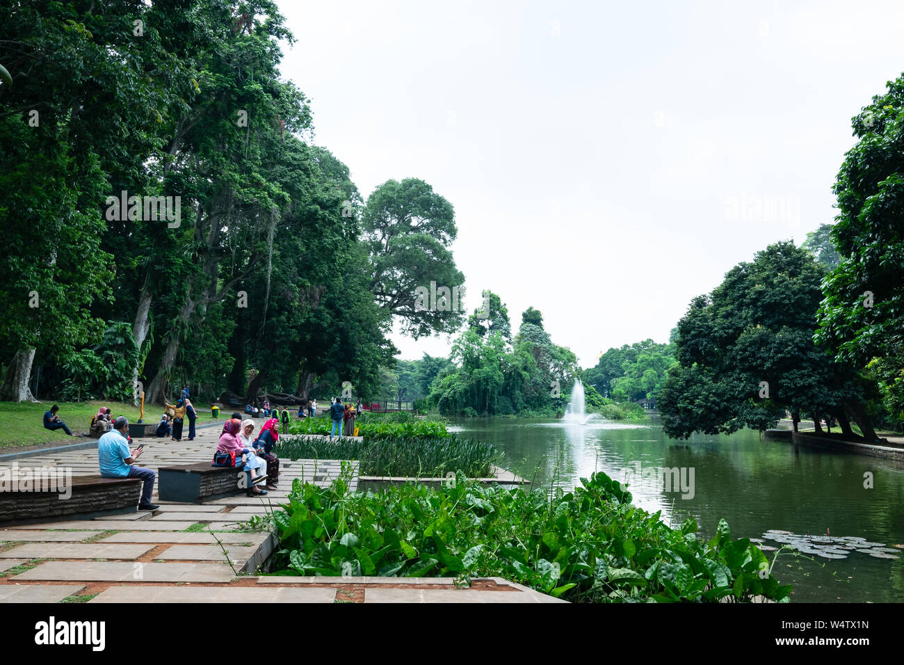 Bogor botanical garden hi-res stock photography and images - Alamy