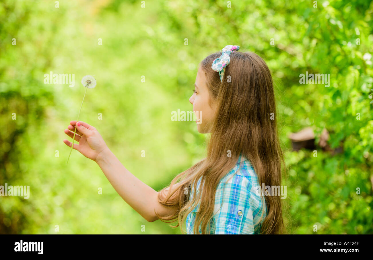 Why people wish on dandelions. Celebrating summer. Dandelion full ...