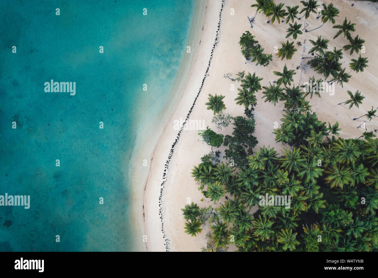 Aerial view of tropical beach.Samana peninsula,Bahia Principe beach ...