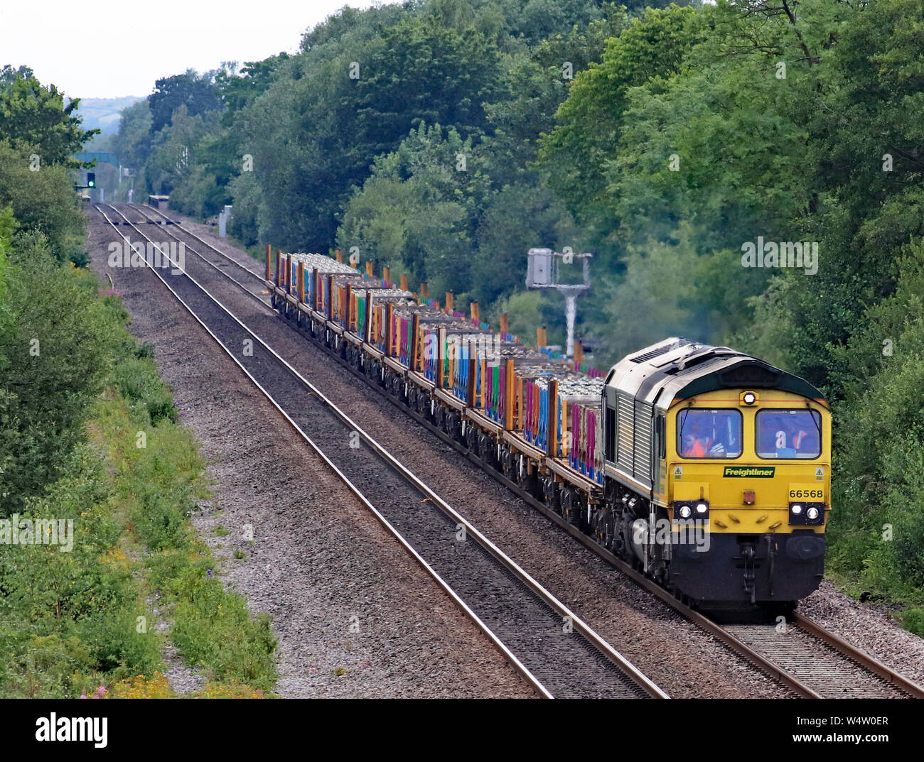 Freightliner locomotive no 66568 travelling from Burton on Trent is ...