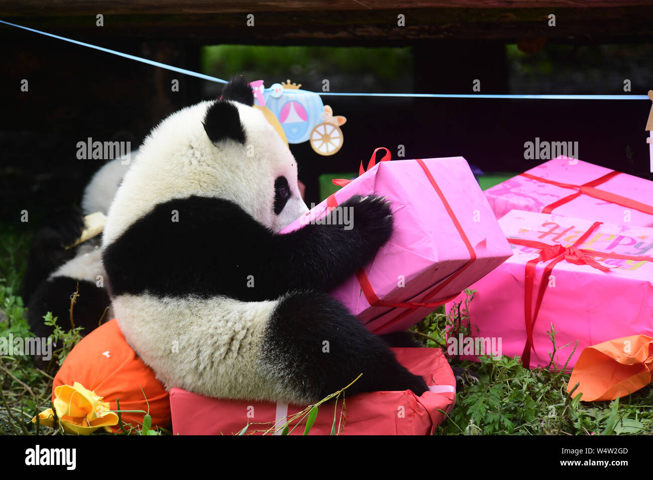 Birthday july 25 hi-res stock photography and images - Alamy