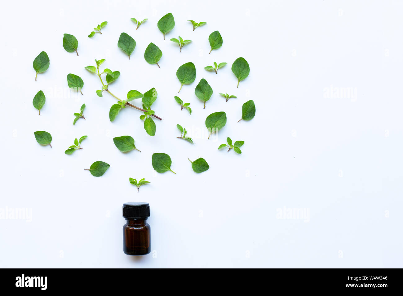 Essential oil with fresh oregano leaves on white background. Copy space ...
