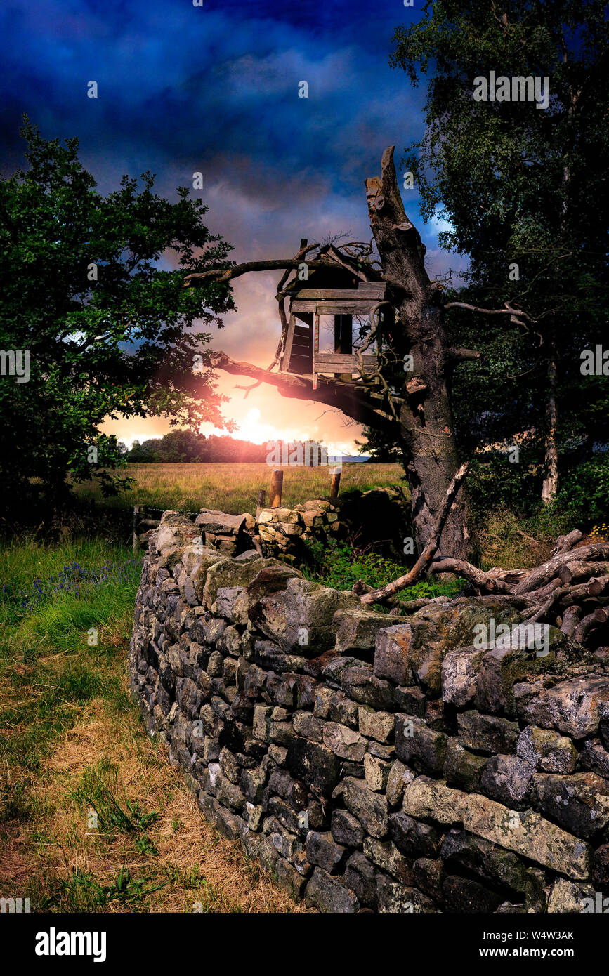 Wrecked treehouse hi-res stock photography and images - Alamy