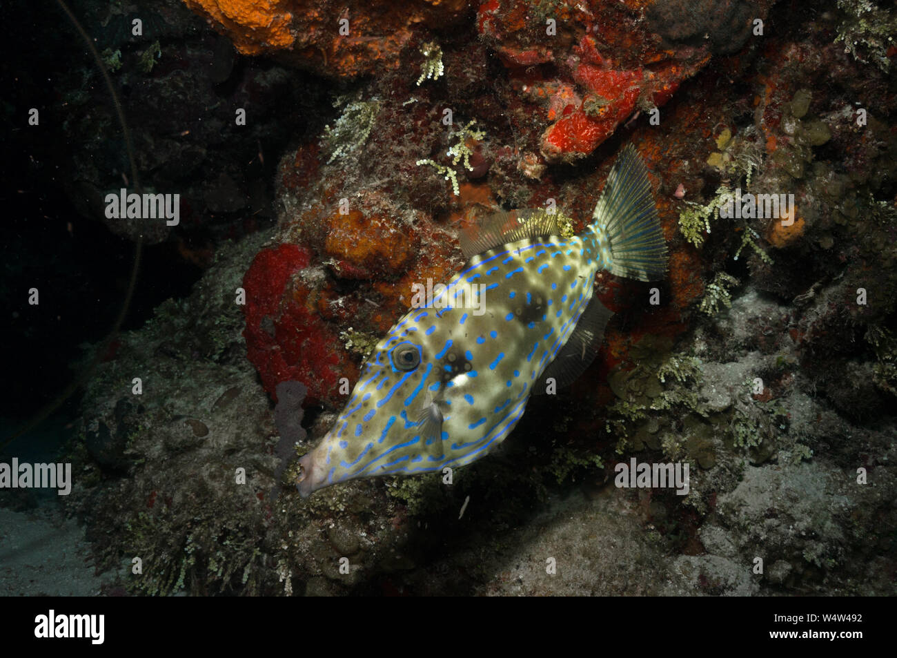 Seea view hi-res stock photography and images - Alamy