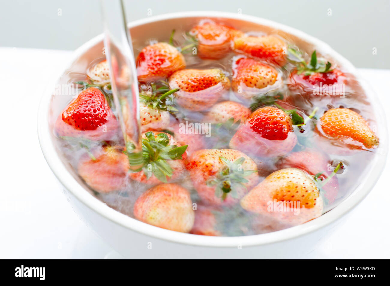 Strawberries soaked in water. Washing fresh fruit. on white background ...