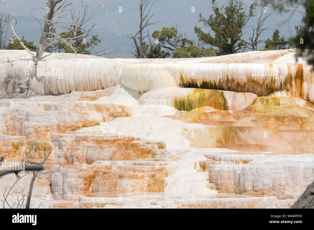 thermal springs and limestone formations at mammoth hot springs in ...