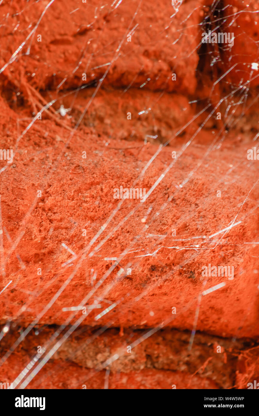 Tangled cobweb hi-res stock photography and images - Alamy