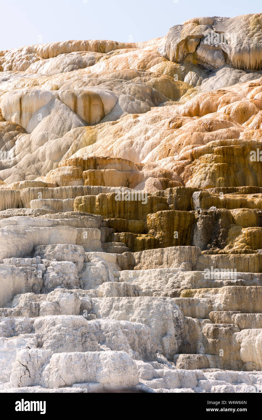 thermal springs and limestone formations at mammoth hot springs in ...