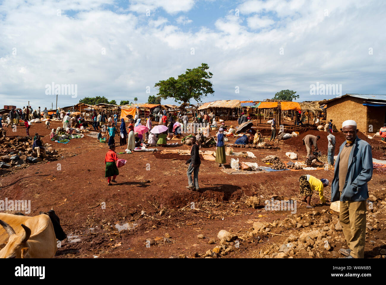 Metu hi-res stock photography and images - Alamy