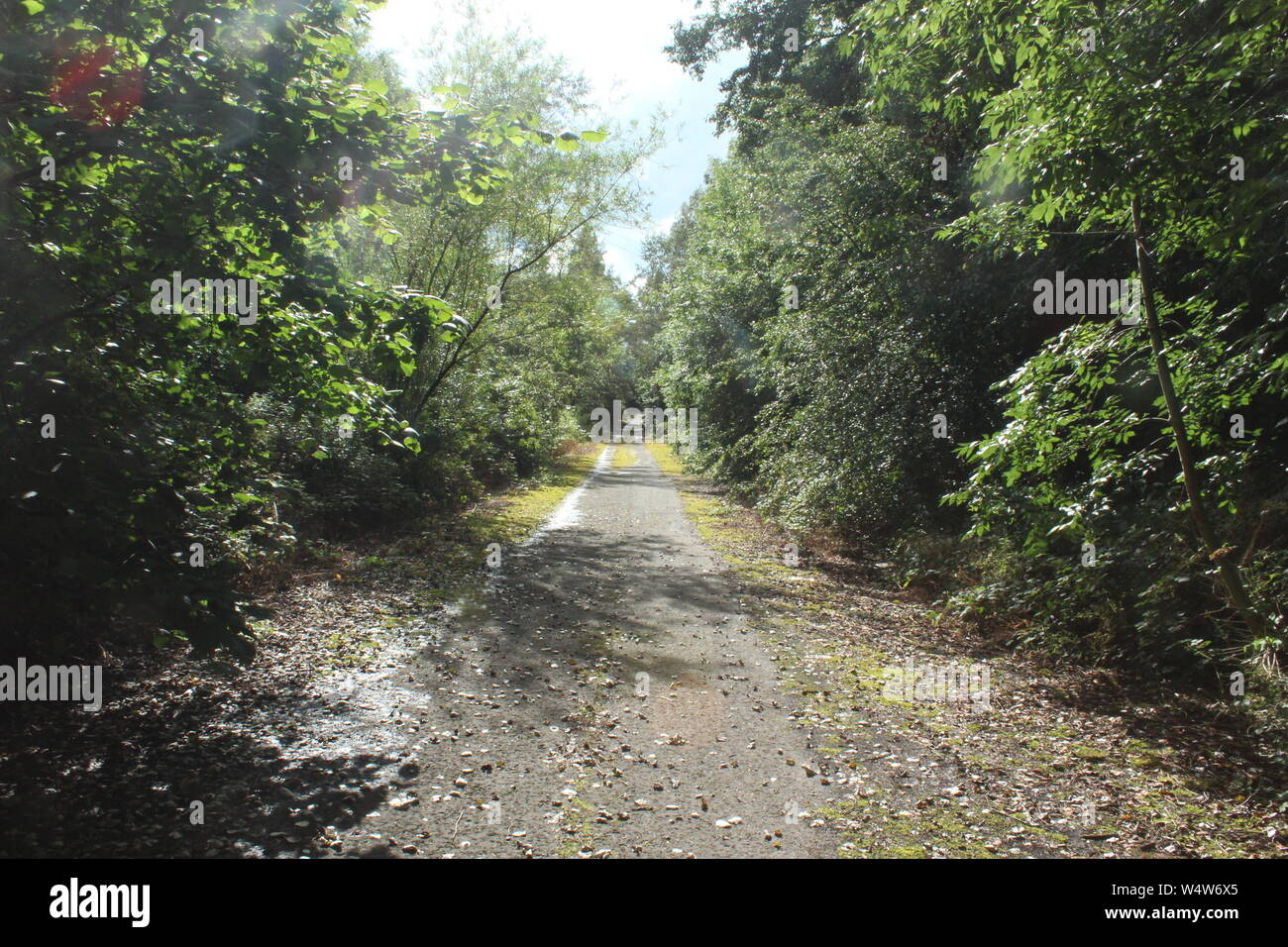 Walkway through long tunnel of trees hi-res stock photography and ...