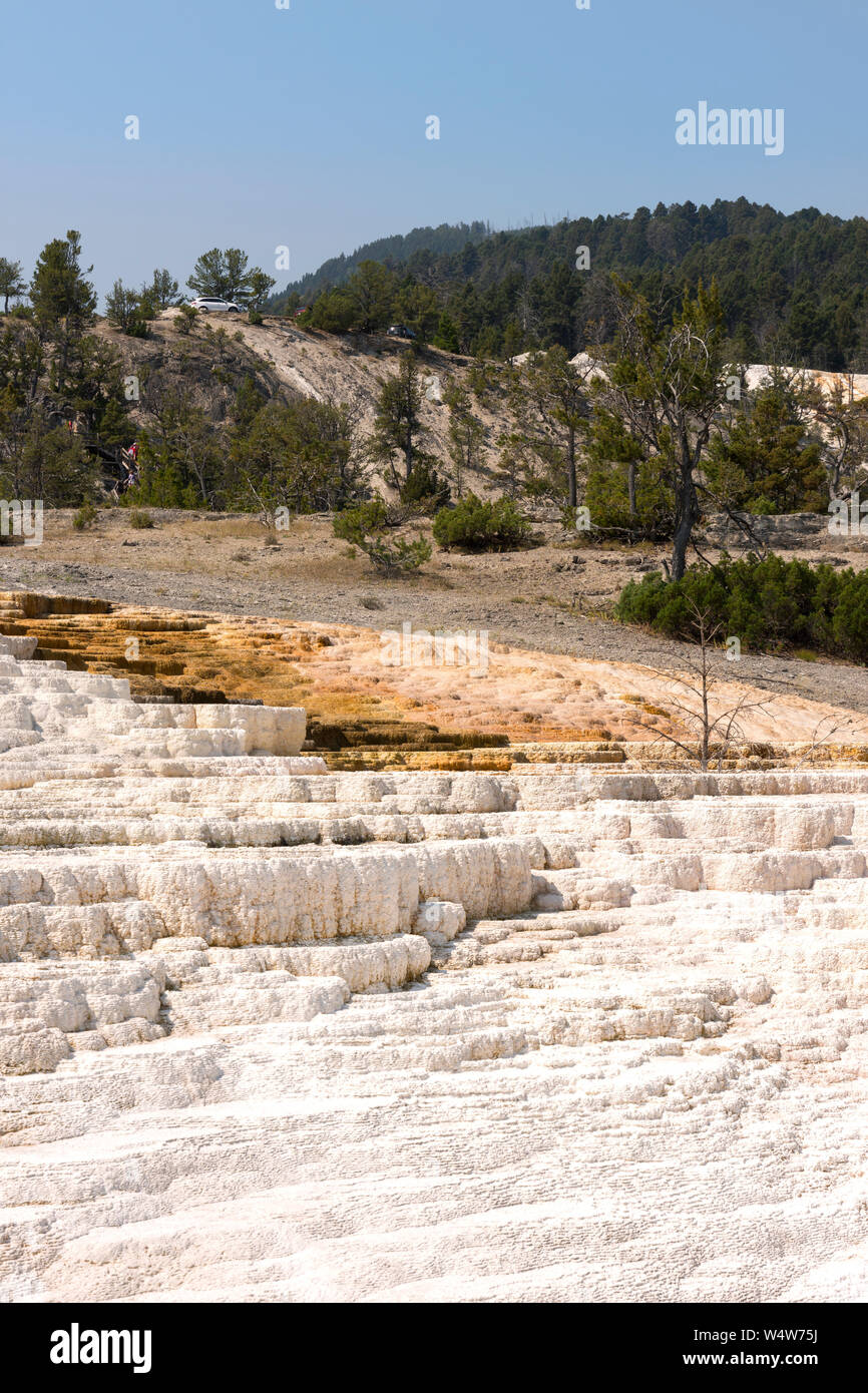 thermal springs and limestone formations at mammoth hot springs in ...