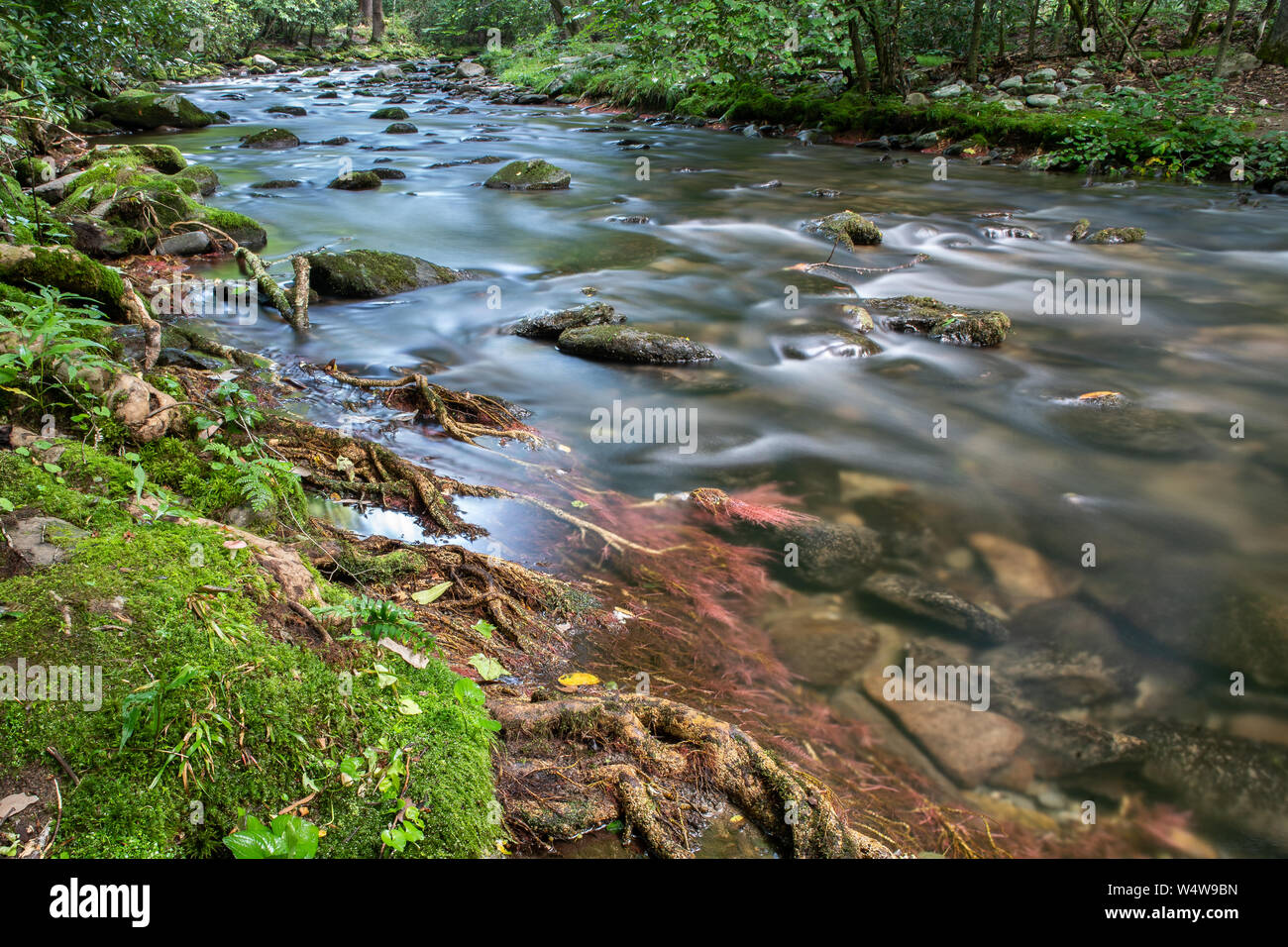 Ripple creek hi-res stock photography and images - Alamy