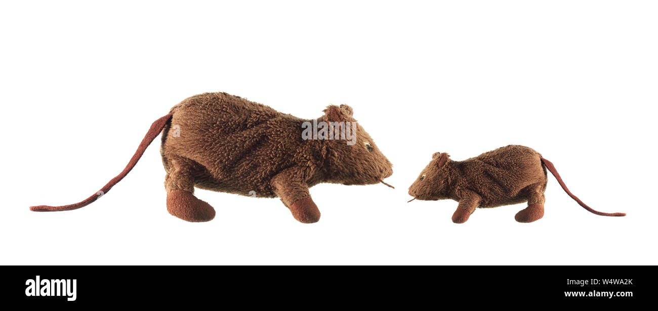 Toy Mice High Resolution Stock Photography and Images - Alamy