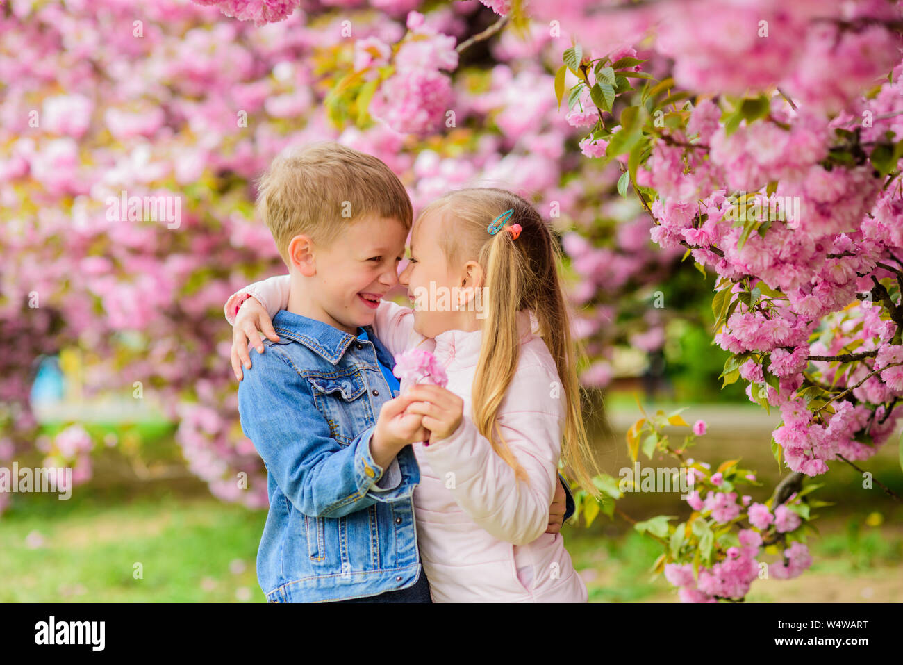 Tender love feelings. Couple kids on flowers of sakura tree background ...
