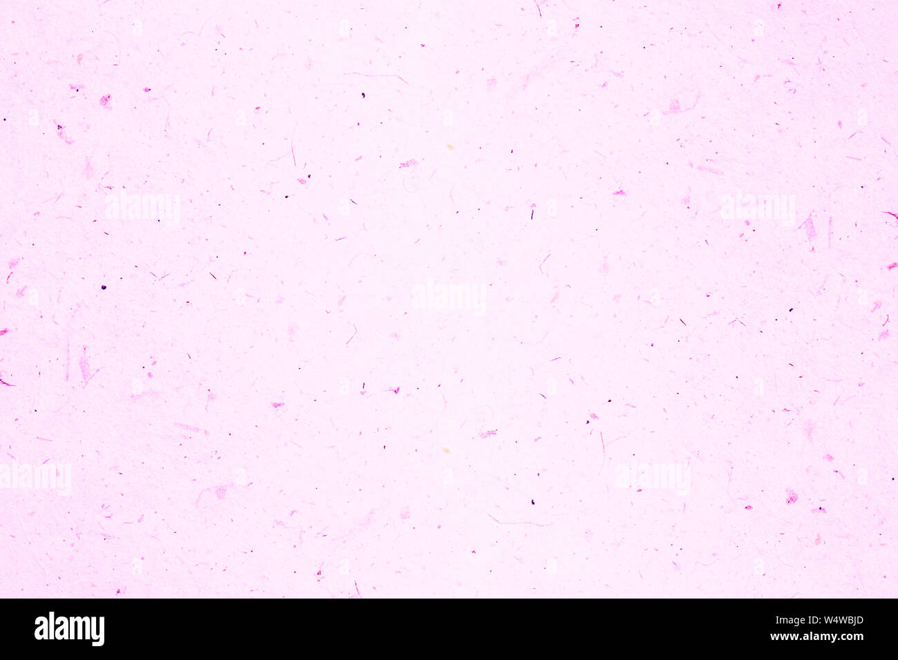 Pink paper texture for background Stock Photo - Alamy