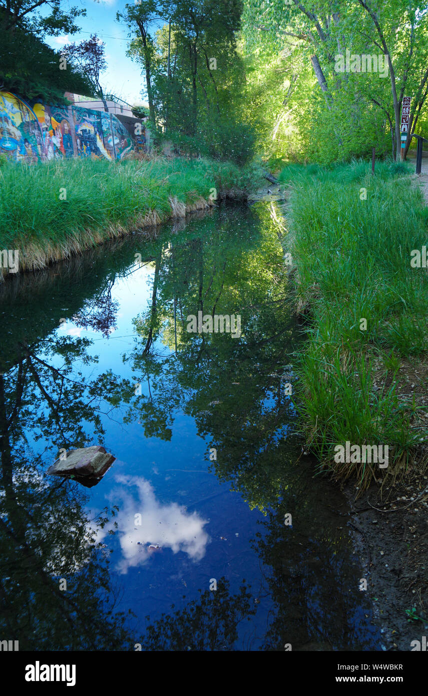 Trees beside a waterway hi-res stock photography and images - Alamy