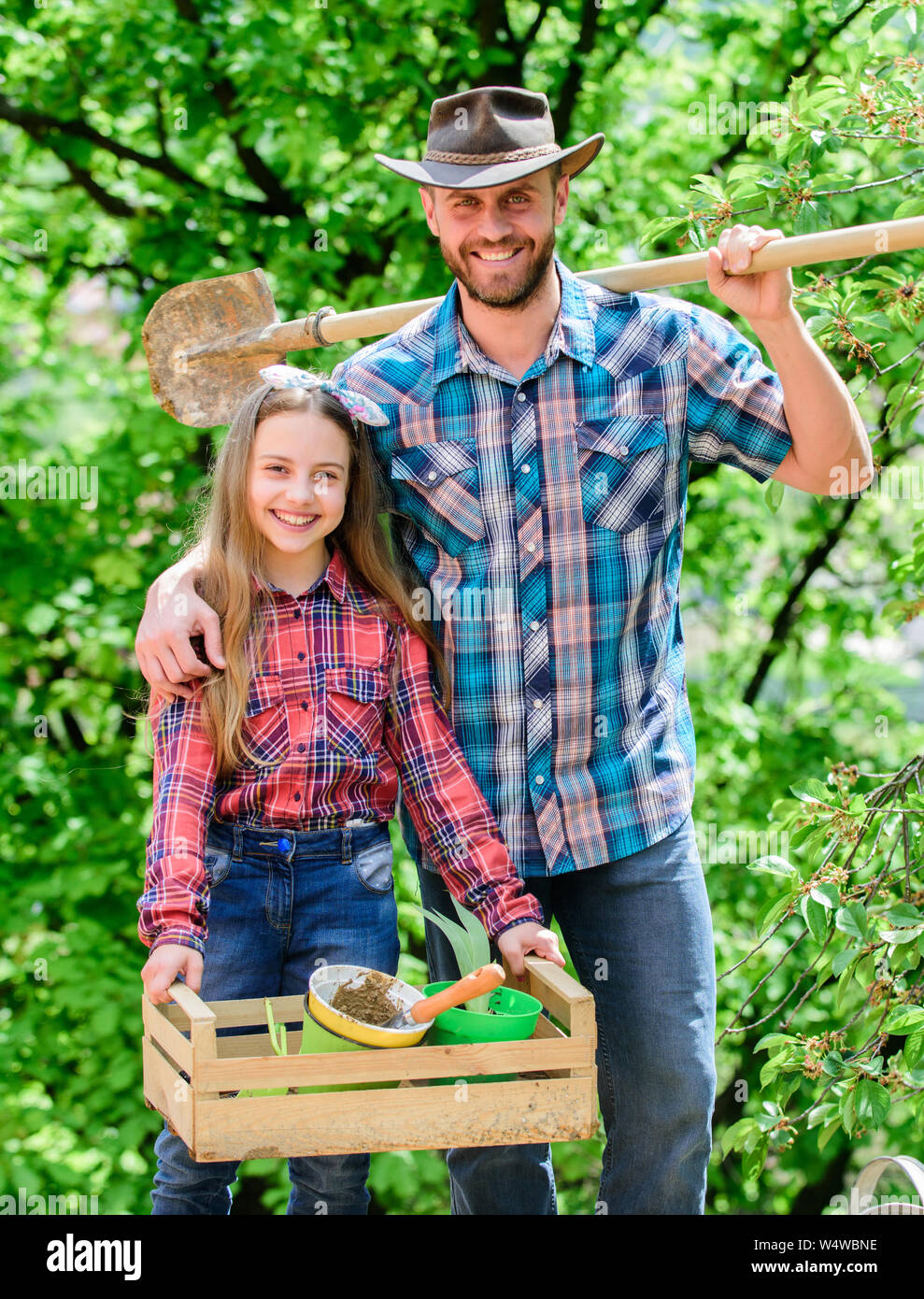 Planting season. Family garden. Transplanting vegetables from nursery ...