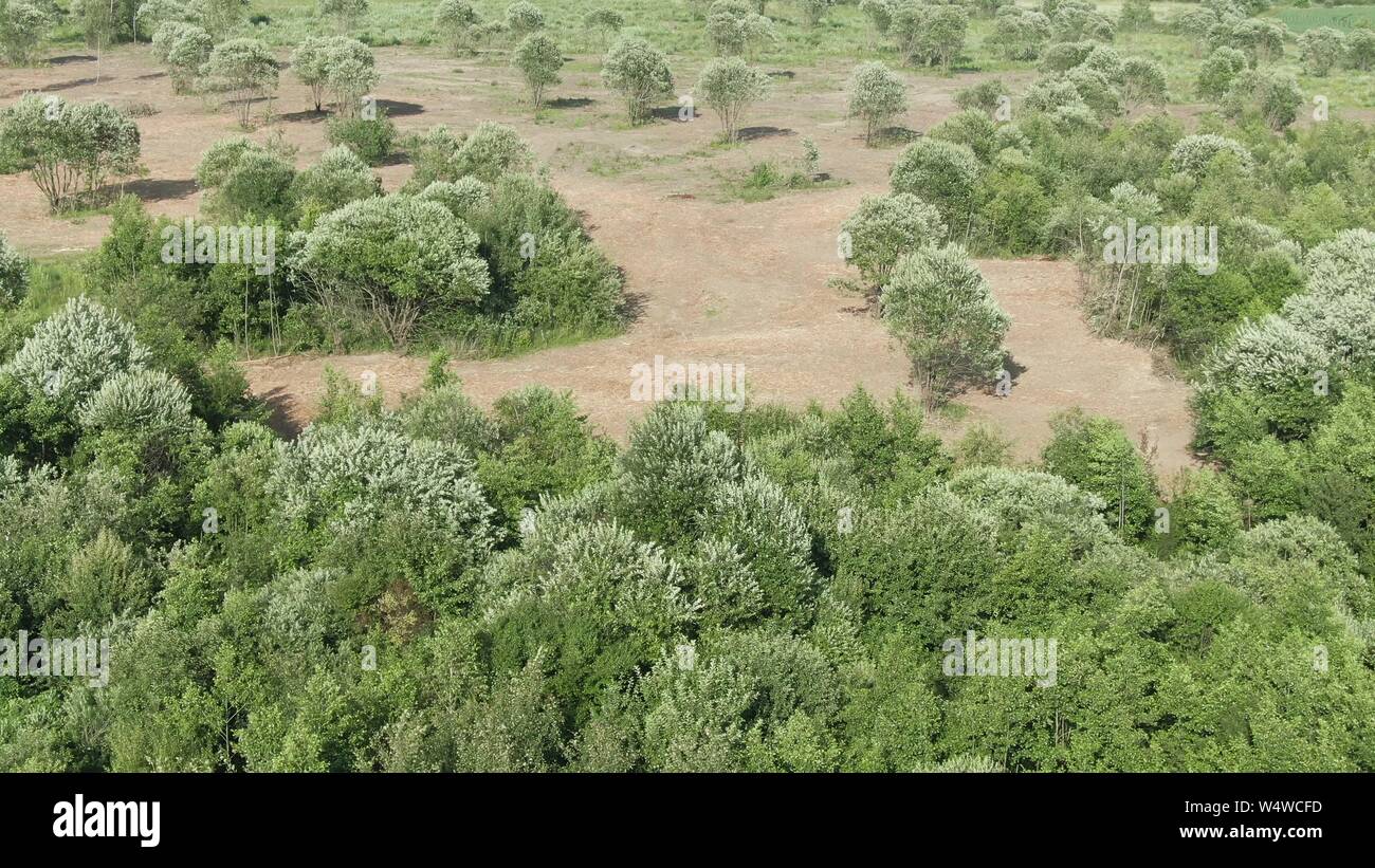 Beautiful summer landscape. Green fields and trees. Steep sandy road ...