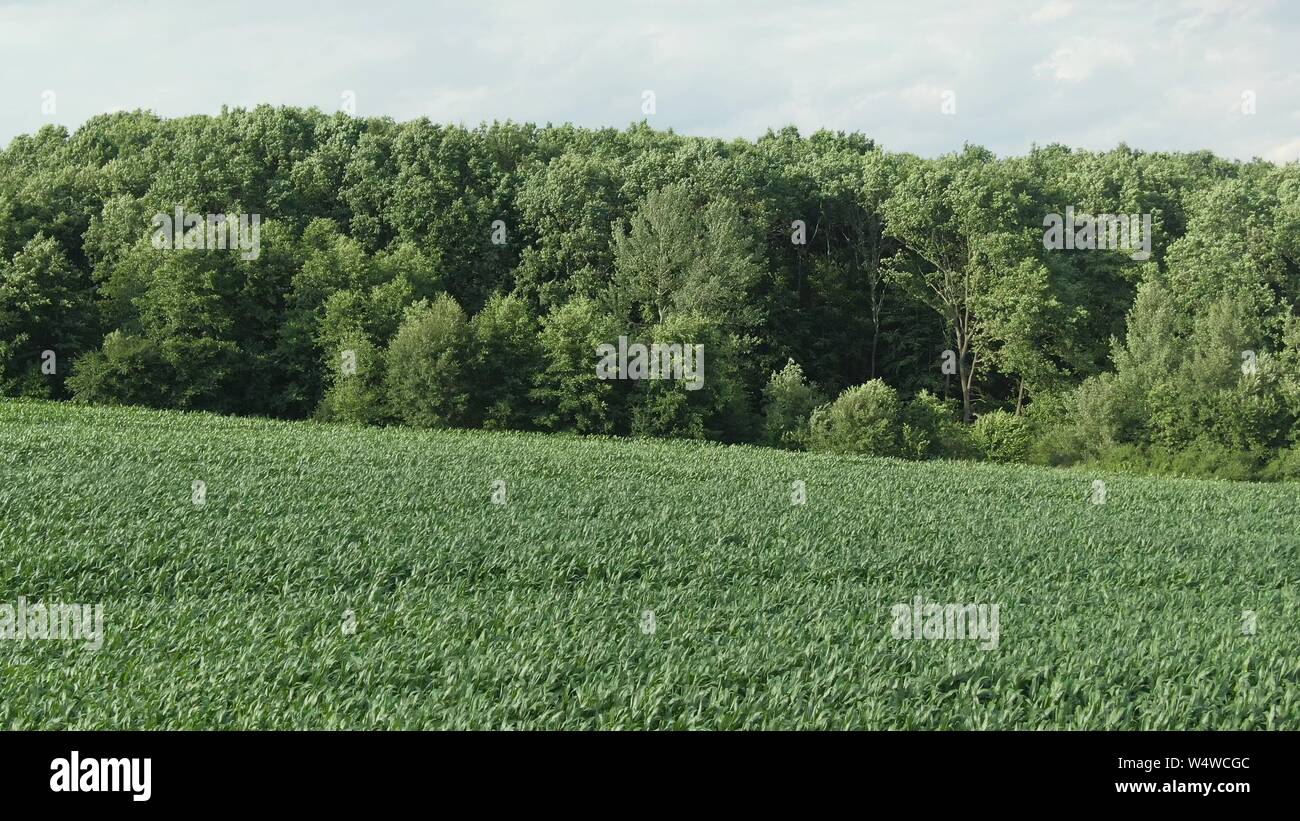 4k aerial view farm fields hi-res stock photography and images - Alamy
