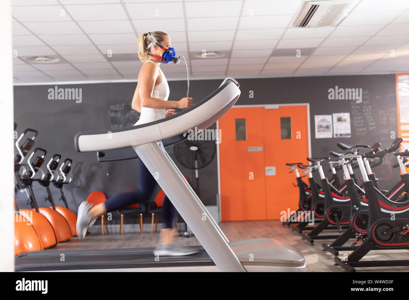 Woman doing a fitness test Stock Photo - Alamy
