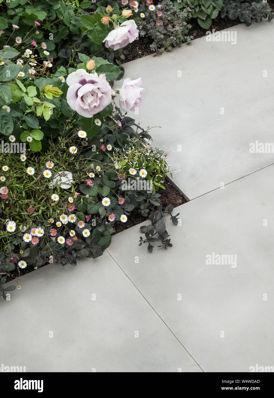 Concrete pavers hi-res stock photography and images - Alamy