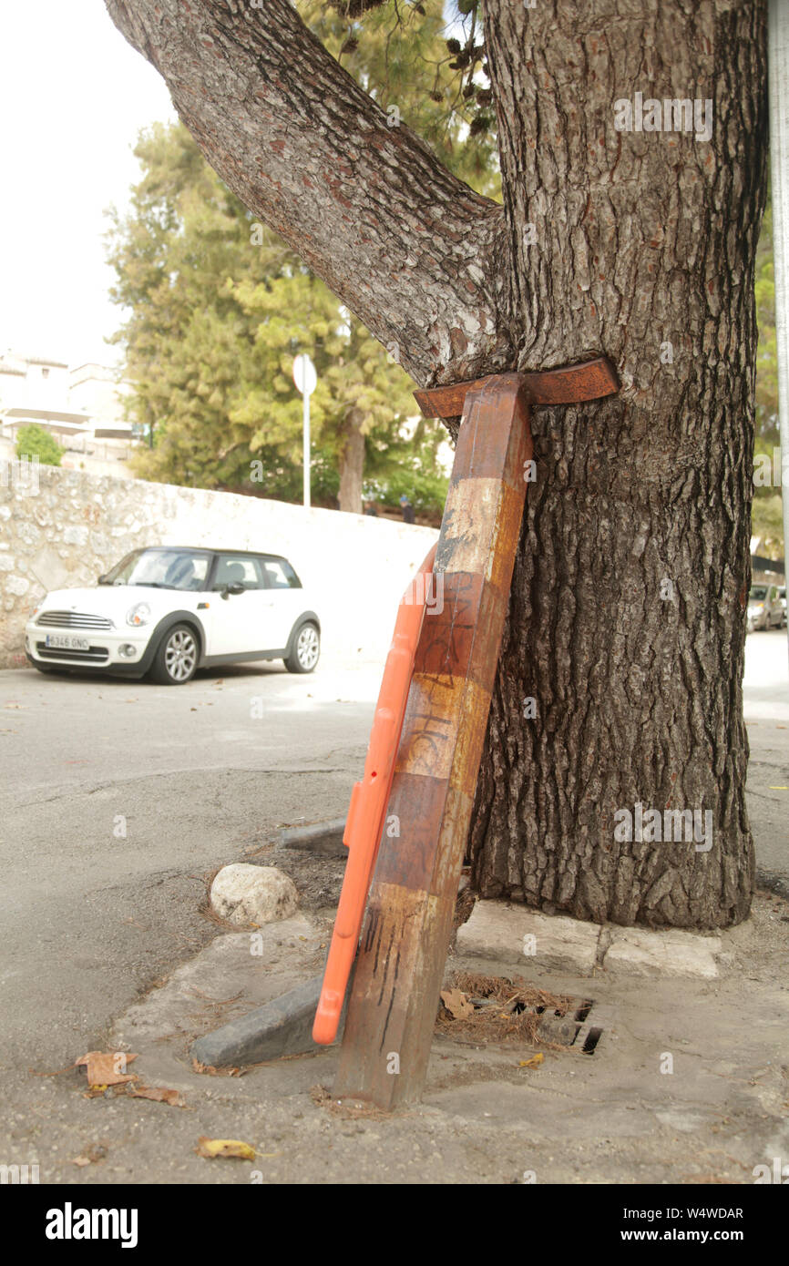 Tree with a feron support Stock Photo - Alamy