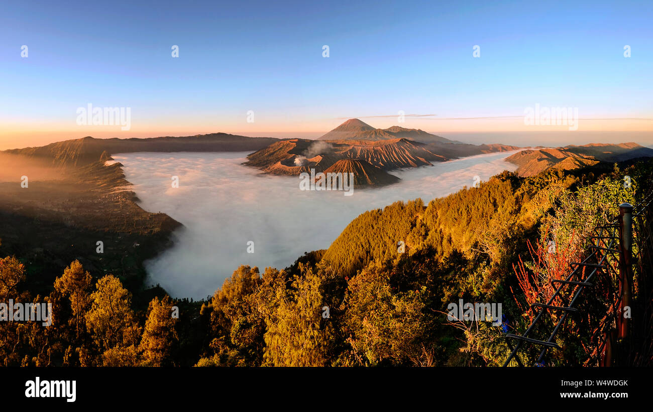 Panoramic view of Mount Bromo glowing in golden light at sunrise, a ...
