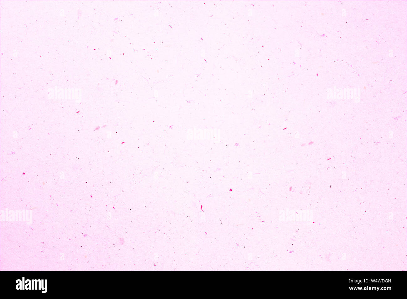 Pink paper texture for background Stock Photo - Alamy