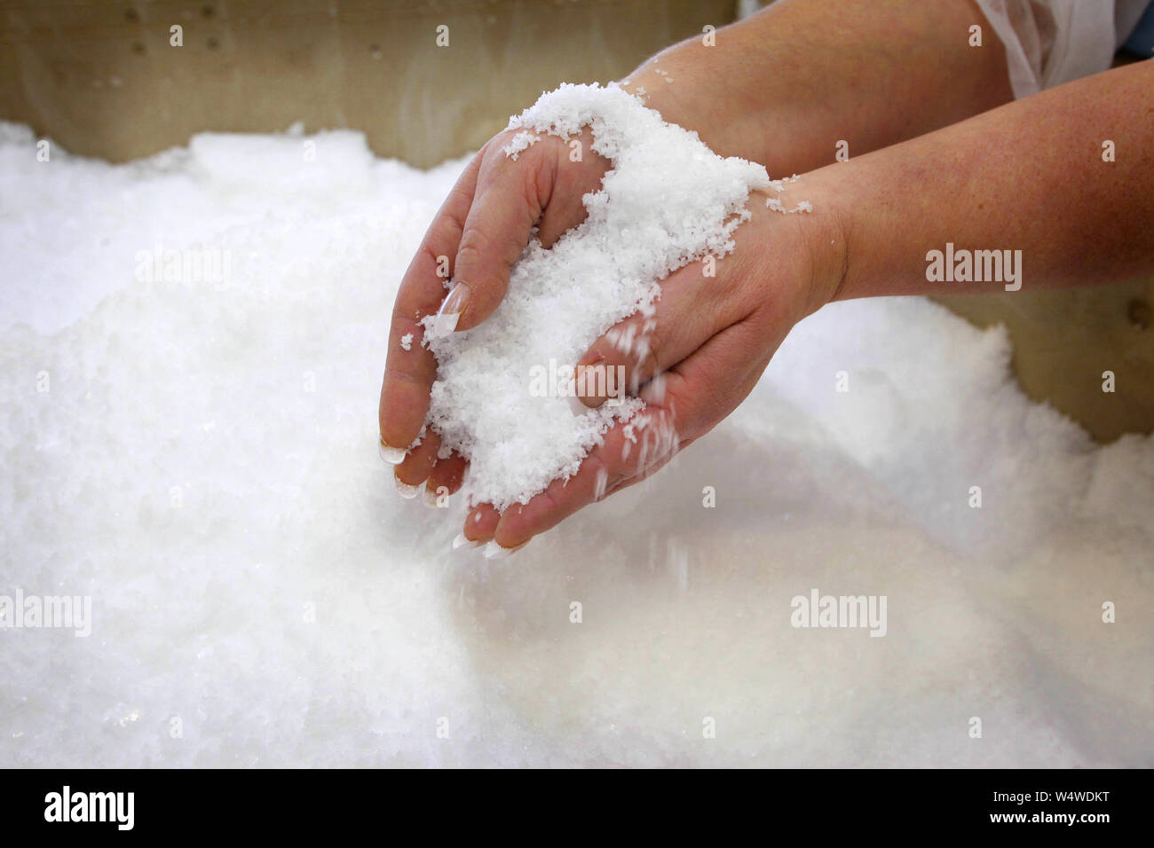 23.02.2011 - A handful of Cornish Sea Salt at Polgwarra on the Lizard ...