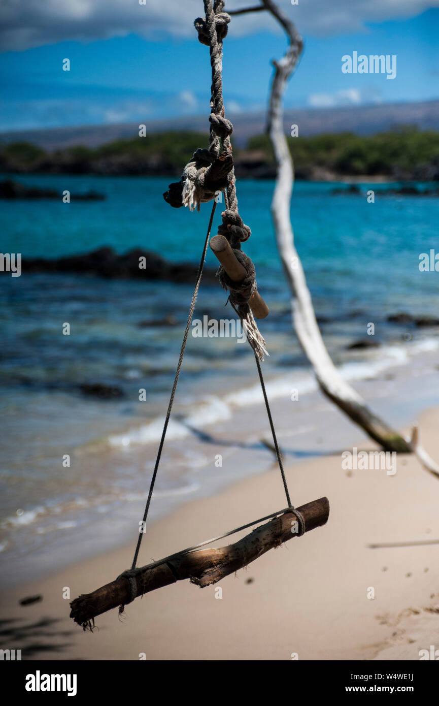 Petrified wood on a sandy beach on the Big Island of Hawaii Stock Photo ...