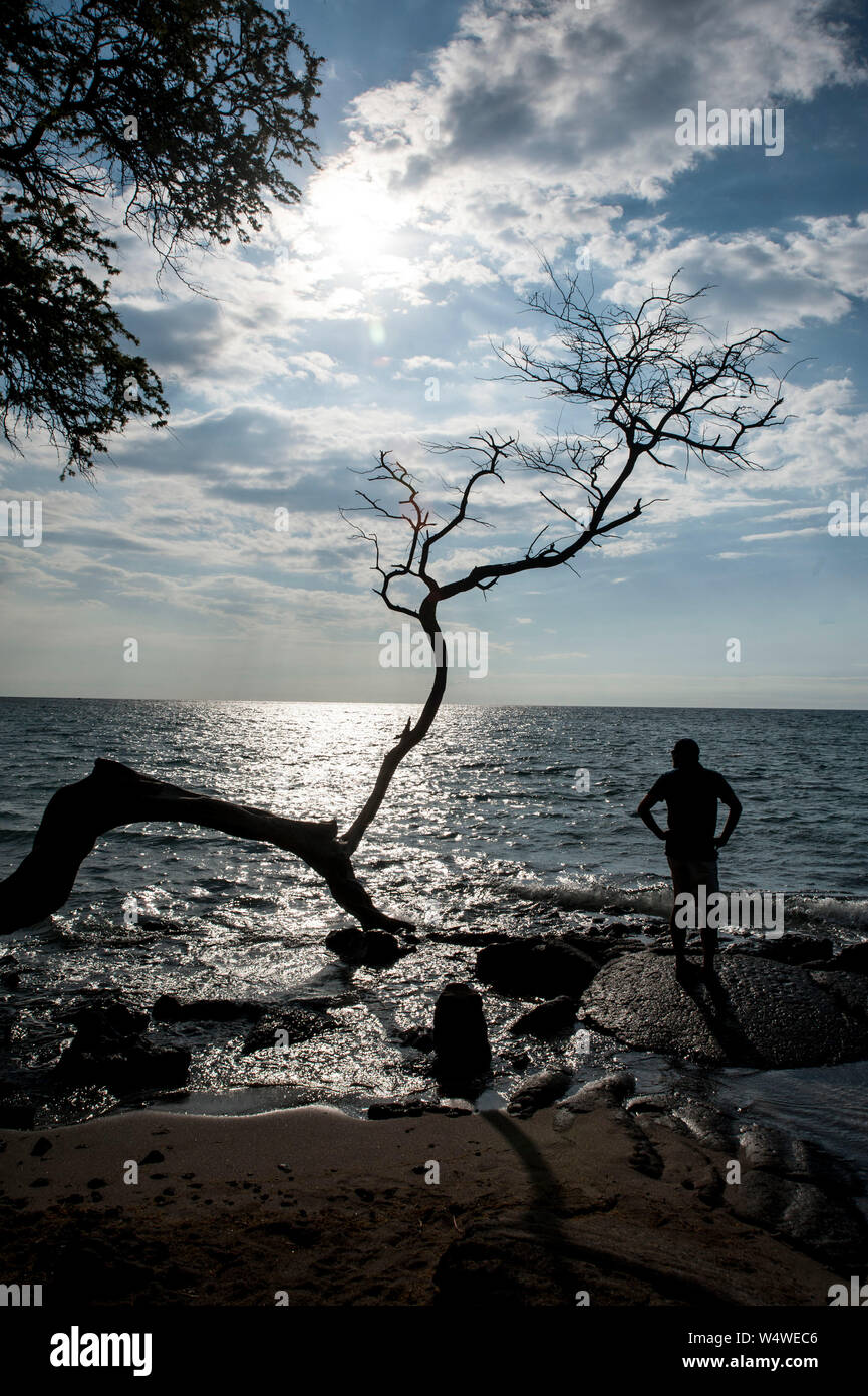 Person Standing Alone On The Beach
