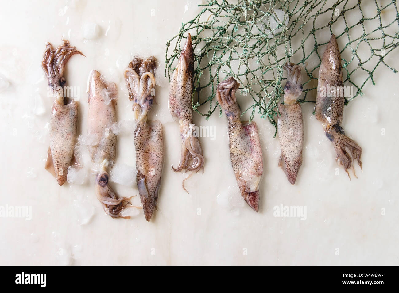 Raw squids calamari Stock Photo - Alamy
