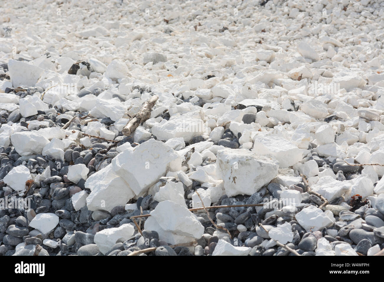 Chalk on pebble beach at Moens Klint in Denmark Stock Photo - Alamy