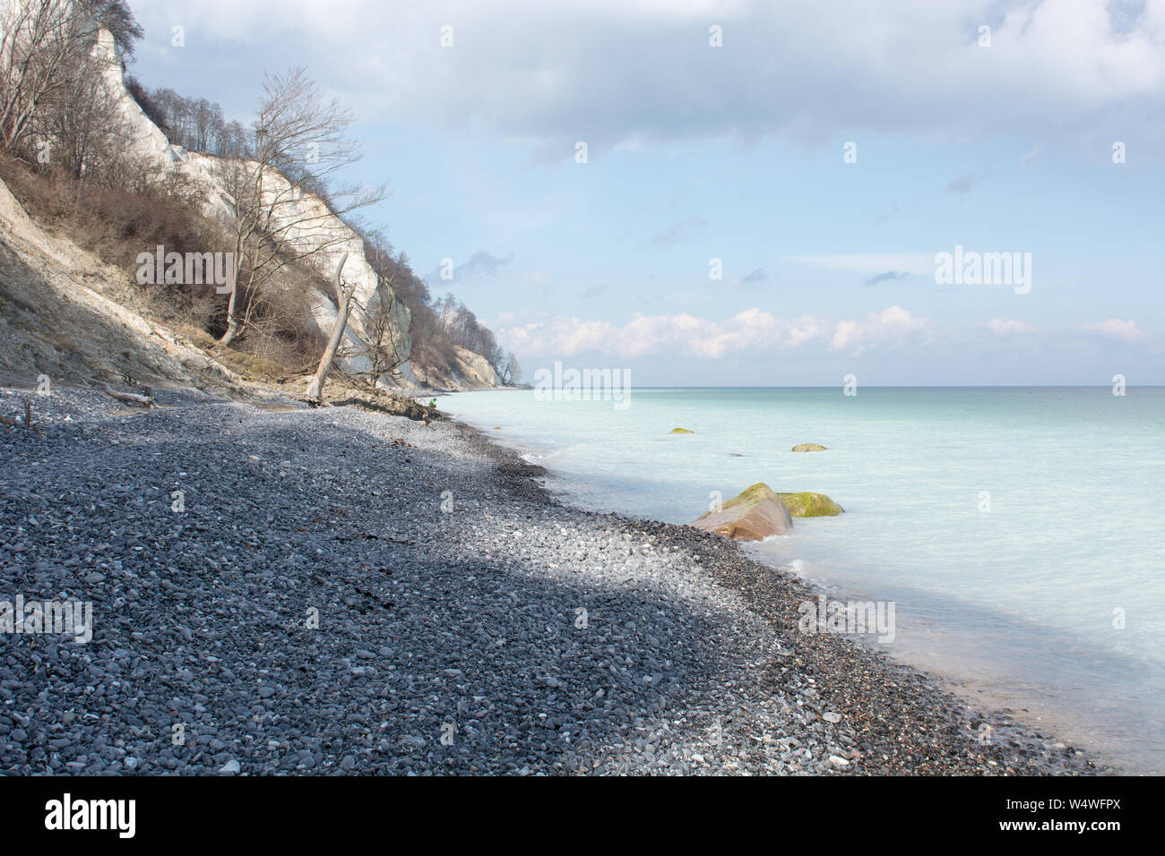 Chalk cliff landscape on Moens Klint in Denmark Stock Photo - Alamy