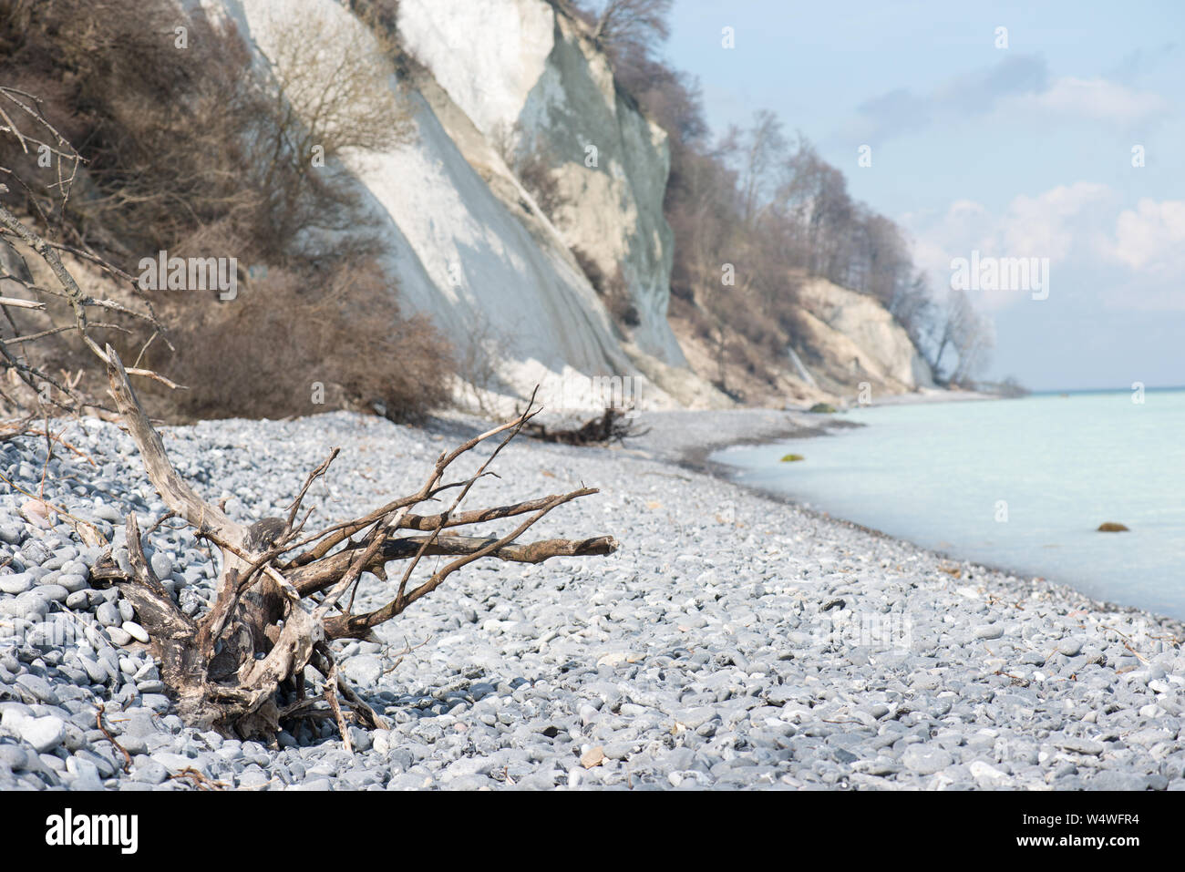 Chalk cliff landscape on Moens Klint in Denmark Stock Photo - Alamy