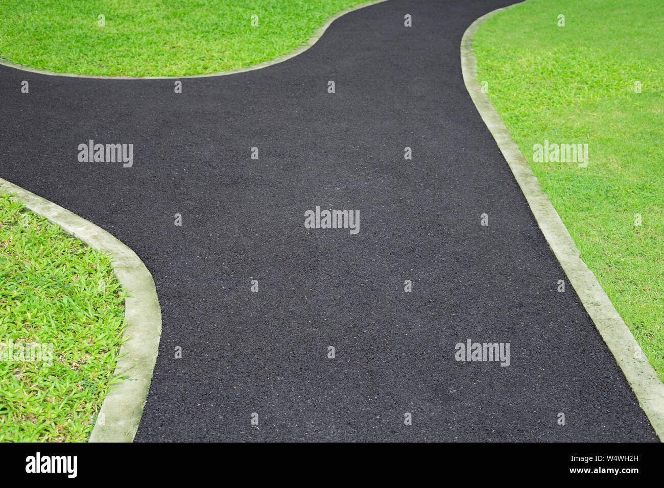 The way in the park with green grass. Two ways Stock Photo - Alamy
