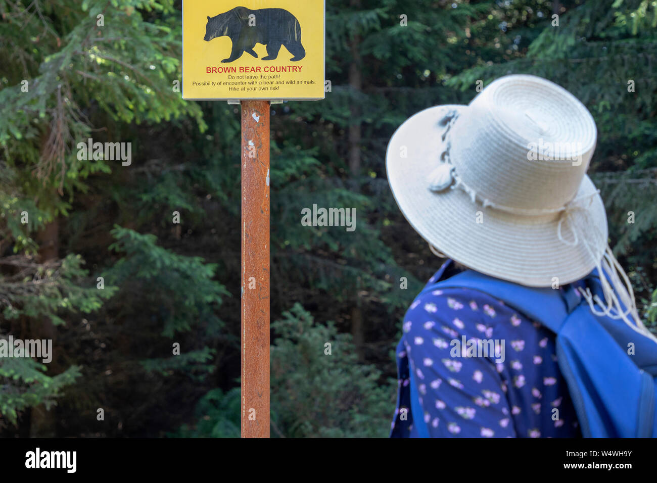 Tara National Park, Serbia - Woman hiker with hat and backpack ...