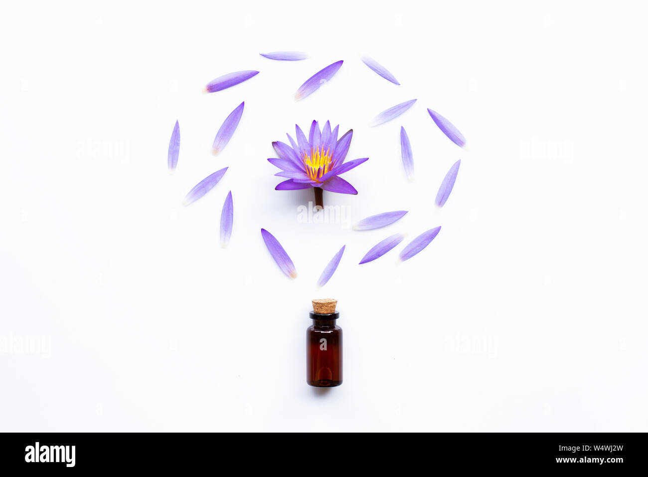 Closeup on purple lotus Cut Out Stock Images & Pictures - Alamy