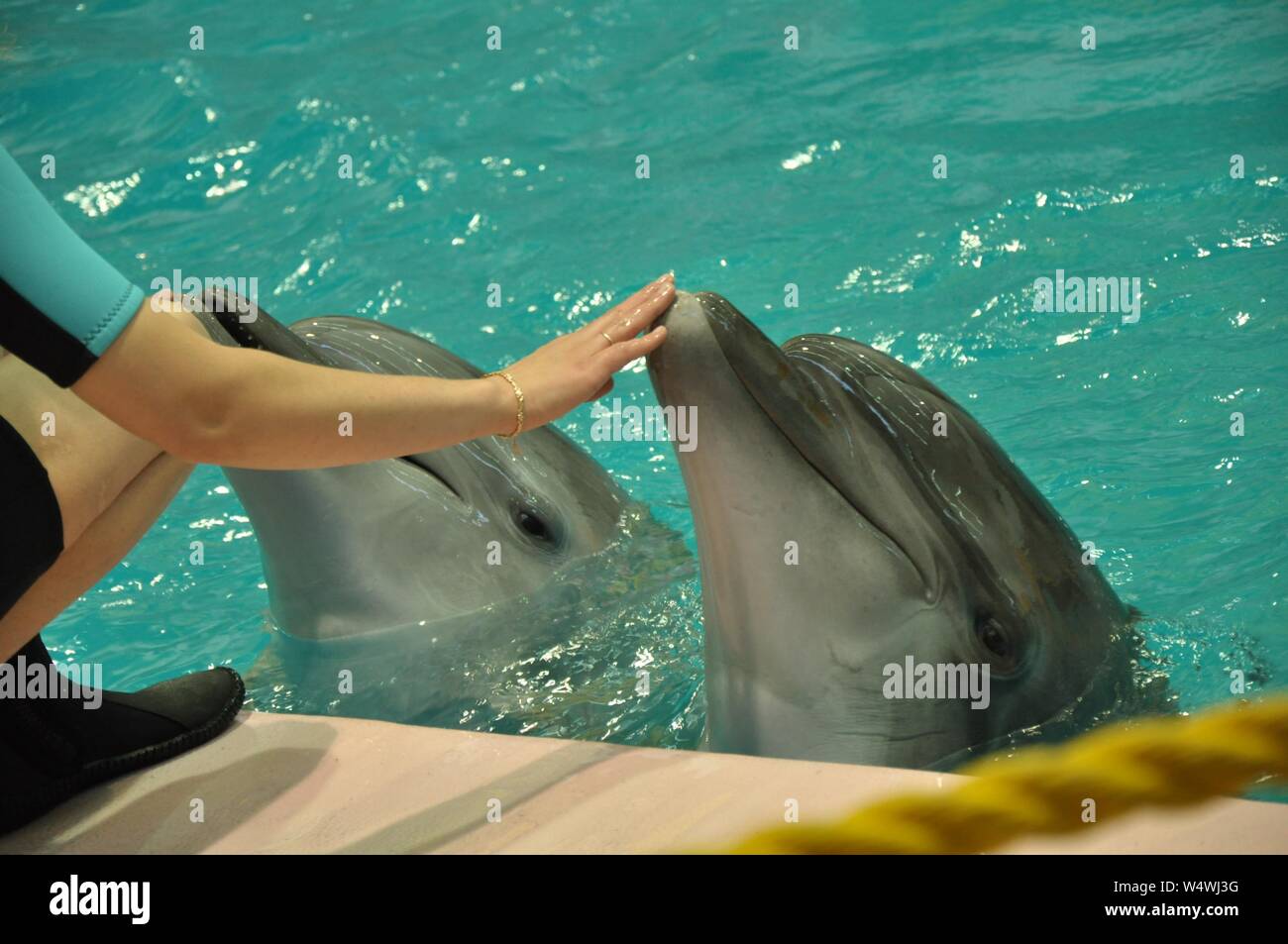 Women in krasnodar hi-res stock photography and images - Alamy