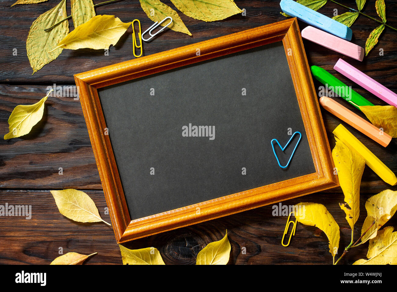 Frame Background Back to school. Table with autumn leaves, apple and ...